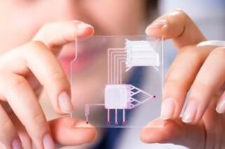 Microprocessor Tutorial: Basics and Its Applications with Examples