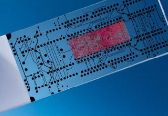 Sony inspired by biomimicry develops curved CMOS sensors
