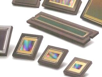 Sony inspired by biomimicry develops curved CMOS sensors